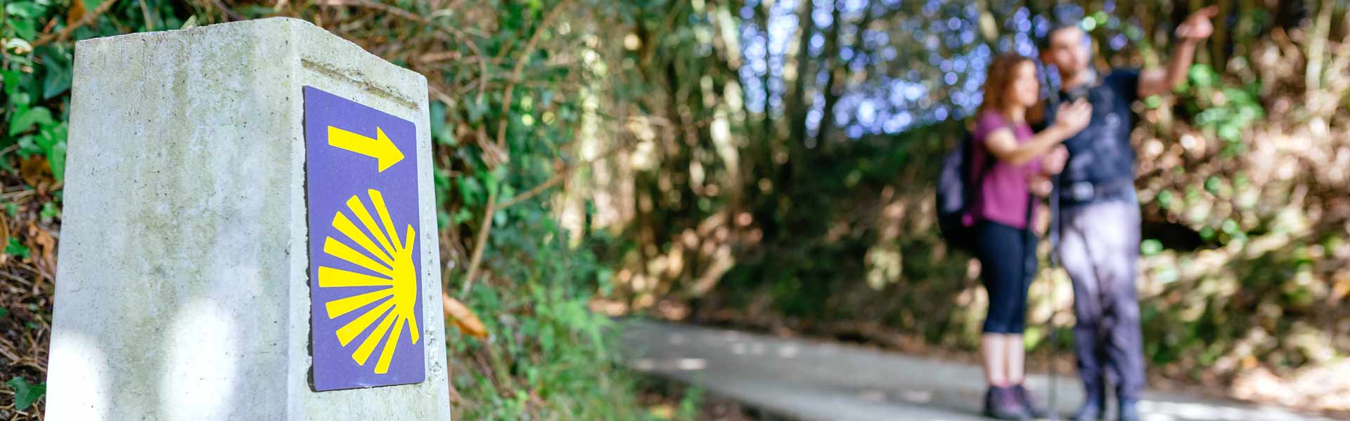 Réservez pour votre chemin de Compostelle - PH - TAXI